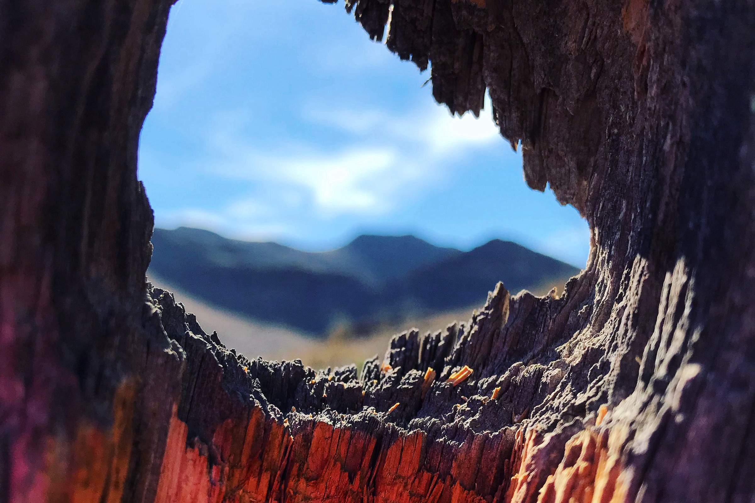 Daily Inspiration: Meet Jason Sugg - Voyage Austin